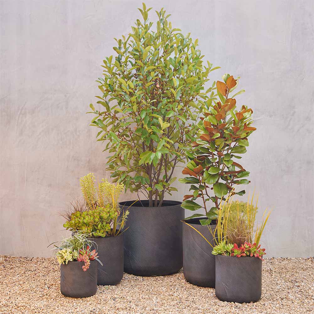 Helix Cylinder Pot 52x52cm White Extra Large