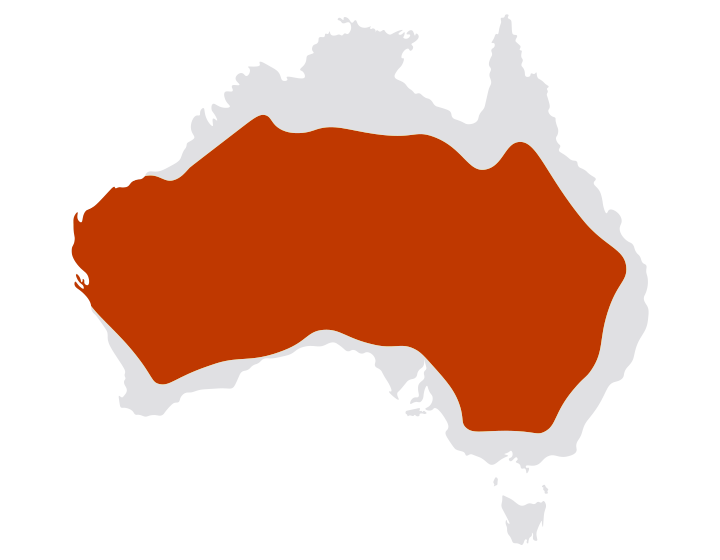 Arid Climate